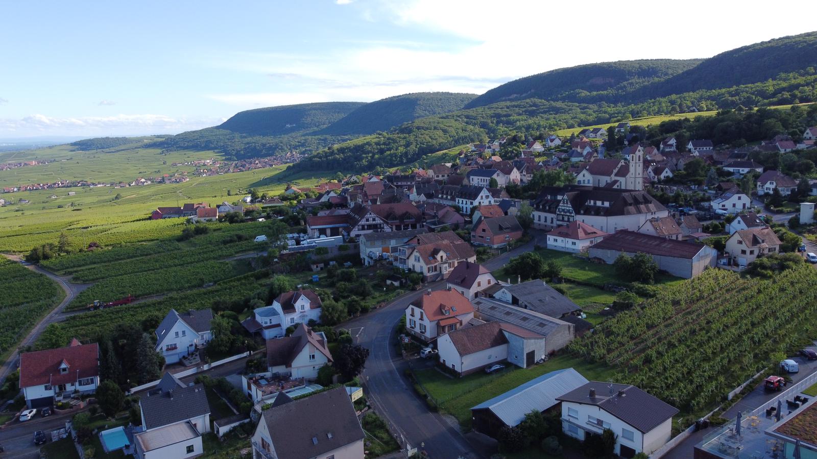 Vins d'Alsace Denis MEYER & Filles Domaine Kehren
